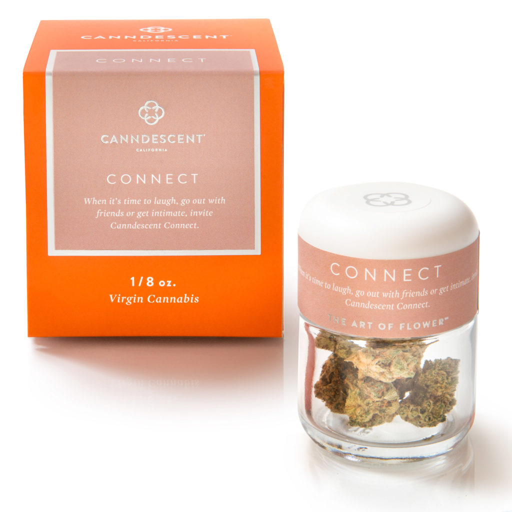 Canndescent – Connect 423 Jar – Power Plant Park